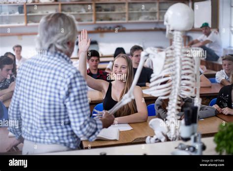 Teacher With Anatomy Model And Students In Class Stock Photo Alamy