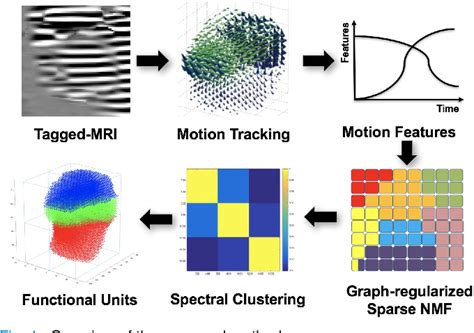 figure 1 from a sparse non negative matrix factorization framework for identifying functional