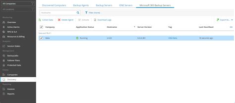 viewing and exporting veeam backup for microsoft 365 server details veeam service provider