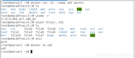 docker镜像的分层结构介绍以及镜像的创建（docker commit与dockerfile） docker history镜像分层结构 csdn博客