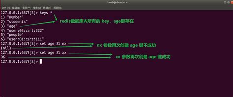 redis数据库的数据失效时间详解【重点】 resp 查看数据过期时间 csdn博客