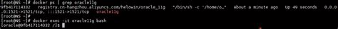 docker安装oracle11g 安装简单 csdn博客