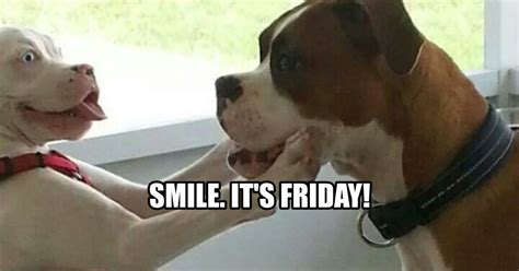73 Funny Happy Friday Memes That Will Make You Say TGIF