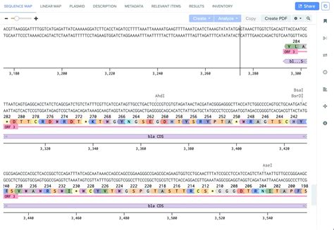translating dna and rna sequences to amino acids using alternative genetic codes benchling