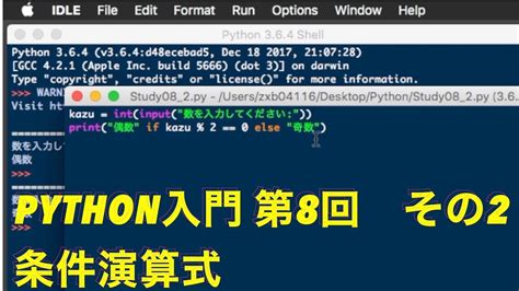 python入門 第8回 その2 条件演算式 youtube