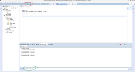 Python Launcher