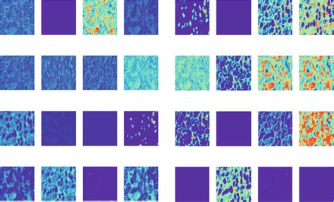 an example of the deep learning feature maps using the transfer download scientific diagram
