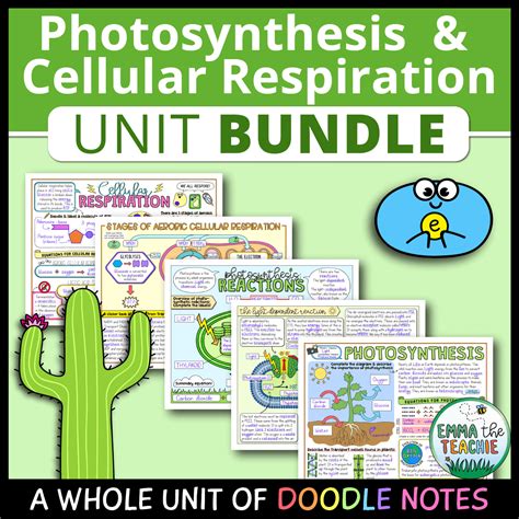 Photosynthesis Doodle Notes Emmatheteachie