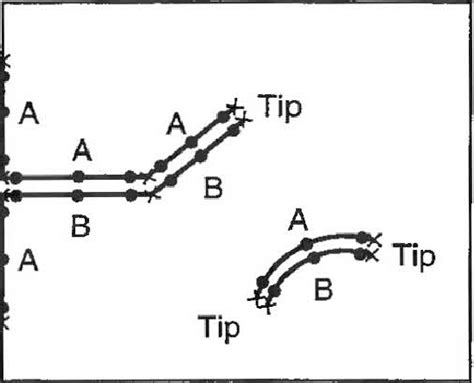 modelling strategy for dual boundary element method download scientific diagram