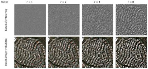 remote sensing free full text ms pansharpening algorithm based on dual constraint guided