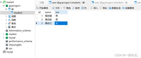 mybatis入门 简单的增删改查 mybatis基础增删改查语句 csdn博客