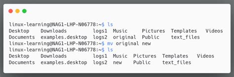 how to copy move and rename files and directories in linux system dev community