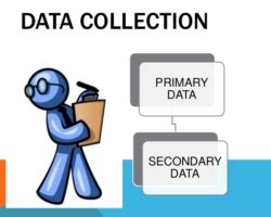What Is Primary And Secondary Data Top Hawks