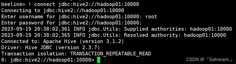 hive元数据库连接 beeline metastore hiveserver2 hive启用元数据需要什么版本 csdn博客