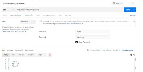 how to implement basic authentication in asp core 6 asp hosting tips and guides