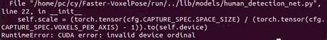 RuntimeError CUDA Error Invalid Device Ordinal Issue 20 AlvinYH