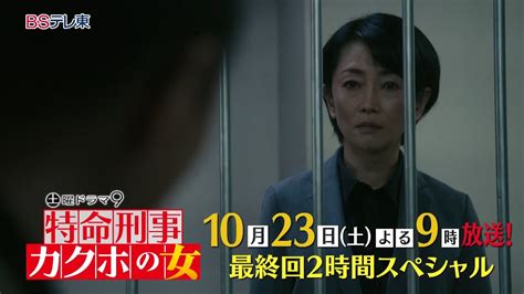 土曜ドラマ9特命刑事 カクホの女最終回 2時間スペシャル BSテレ東 YAYAFA