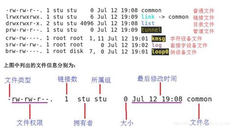 linux 基础命令大全 duc linux csdn博客