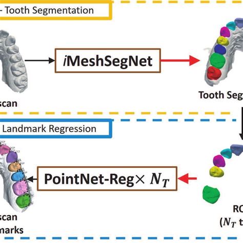 pdf two stage mesh deep learning for automated tooth segmentation and landmark localization on