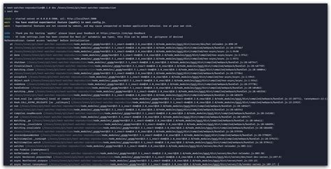 when using webpack hook in appdir mode got referenceerror cannot access watcher before