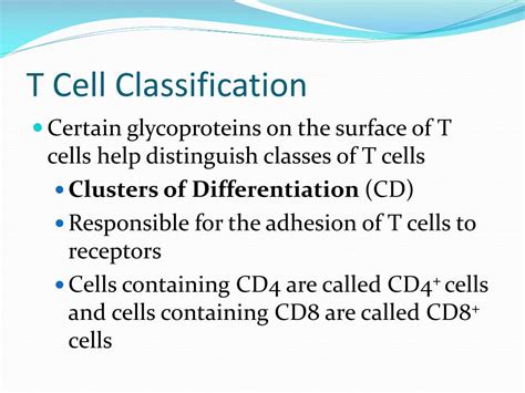 Ppt Lesson 9 Adaptive Immunity Powerpoint Presentation Free Download Id2111104