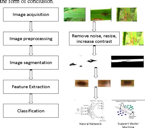 figure 1 from a survey on detection and classification of rice plant diseases semantic scholar