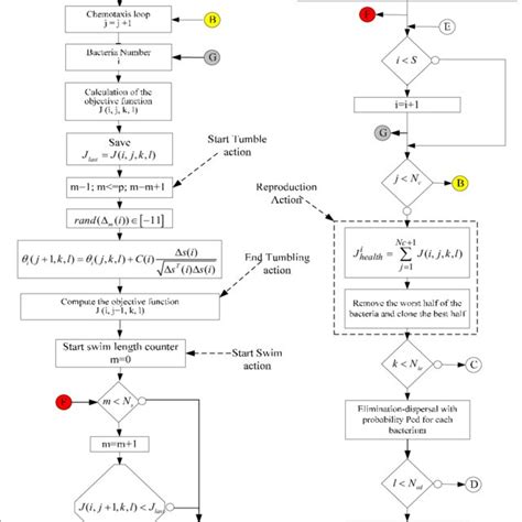 a global diagram of the bacterial foraging optimization algorithm download scientific diagram