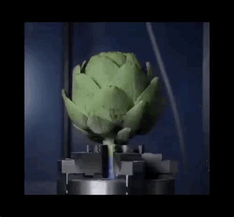 fibonacci zoetrope on imgur