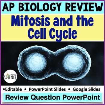 Advanced Placement AP Biology Review PPT Mitosis And The Cell Cycle