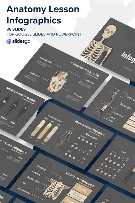 Skeletal System Infographics Google Slides Powerpoint NBKomputer