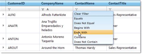 filtering infragistics asp™ help