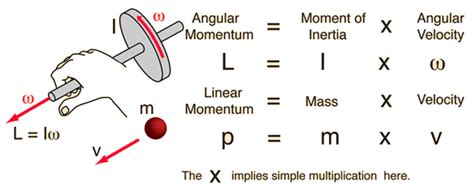 what is conservation of angular momentum ameise live