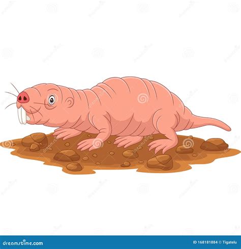 Naked Mole Rat Black Drawing Silhouette Image Cartoon Vector
