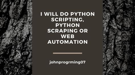 do python scripting python scraping or web automation by johnprogrming07 fiverr