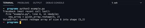 python numpy reshape method for array reshaping codevscolor