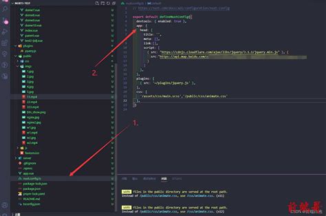 nuxt3框架全局引用外部js css文件的相关配置方法 前端哥