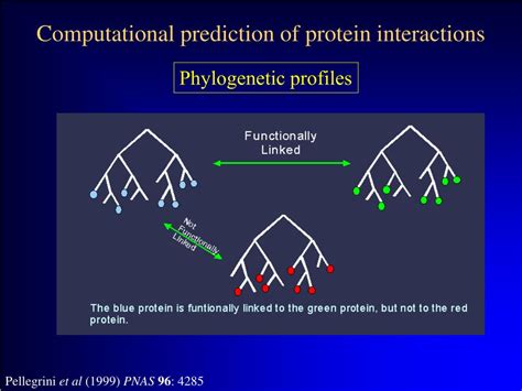 ppt protein protein interactions powerpoint presentation free download id 2708888