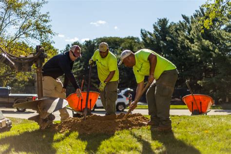 Ways To Reinvent Your Commercial Landscaping Cynthia Vincent