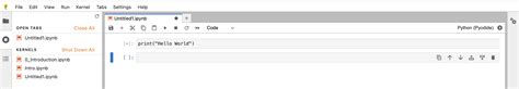 jupyter lab not executing python code jupyterlab jupyter community forum