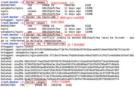 docker镜像和容器的基本命令操作 docker下载镜像命令 csdn博客