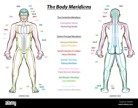 Chinese Medicine Meridian Chart (Informational): Improve Your Energy ...