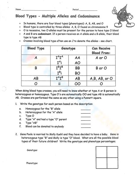 Blood Types Worksheet Answer Key – Free Printable Practice Sheets Pdf ...