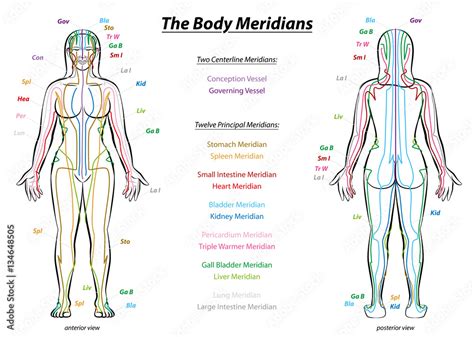 Pain Relief Breakthrough? Explore the Chinese Medicine Meridian Chart ...