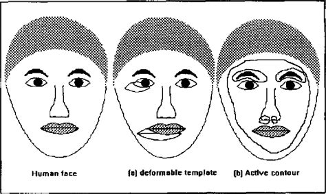 Step-by-Step Guide: Learn Face Reading (Chinese Medicine) – Free PDF ...