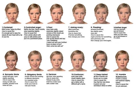 Chinese Medicine Face Reading: A Beginner's Guide to Facial Diagnosis ...