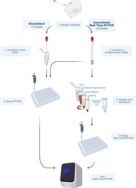 Tes PCR SARS-CoV-2 di Indonesia: Prosedur dan Interpretasi Hasil