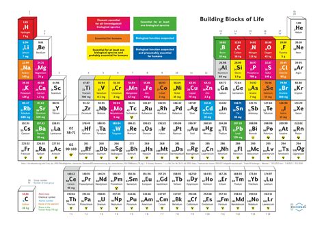 Unlock Your Inner Healer: The Power of the Traditional Chinese Medicine ...