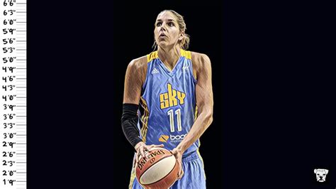 Unveiling the平均 WNBA Height: How Tall Do Basketball Stars Really Stand ...