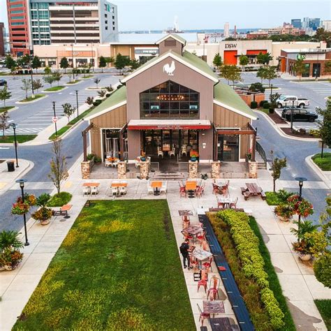 Discover the Flavor Scene in Canton, Baltimore's Culinary Gem - Housing ...