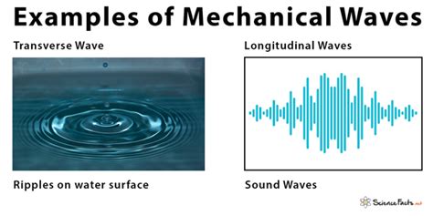 Exploring the Fascinating World of Mechanical Waves: Real-Life Examples ...